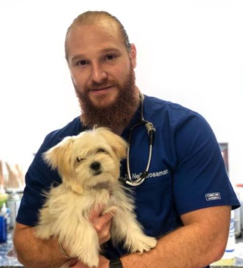 Veterinarian In Loxahatchee, FL | Palms West Vet Hospital